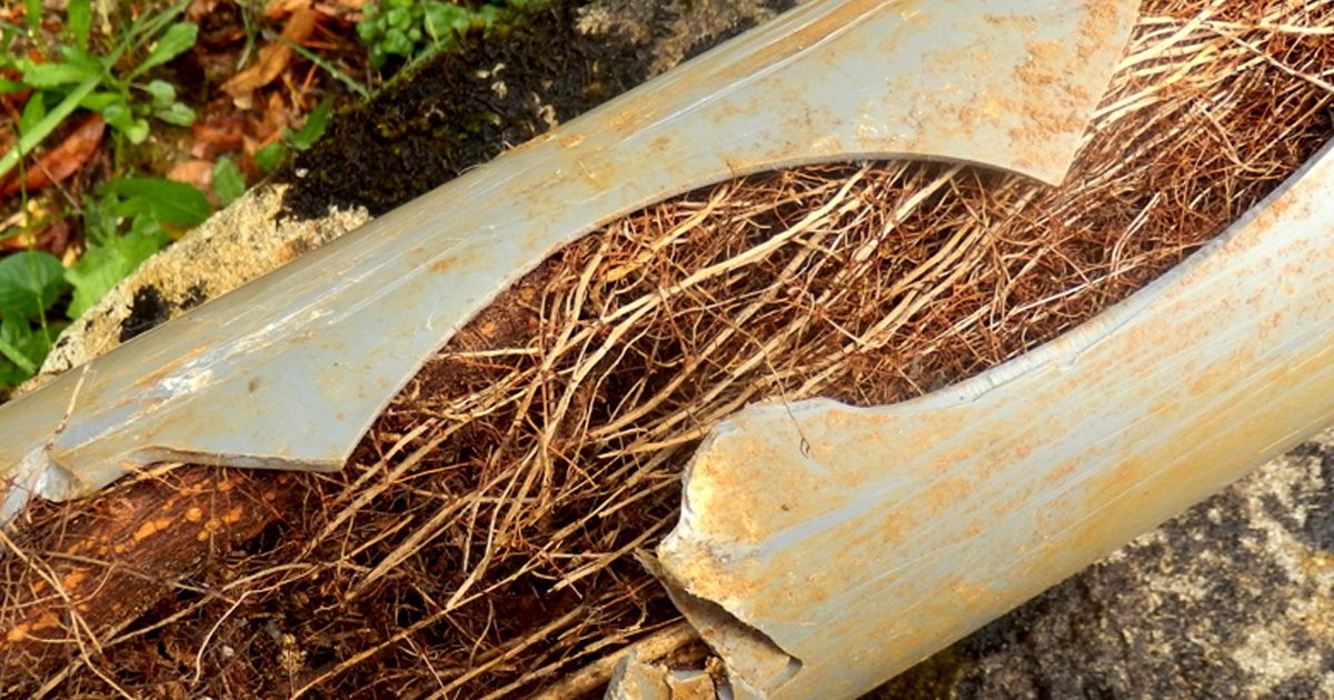 Professional Blocked Drain Clearing Melbourne | Emergency Drain Service ...